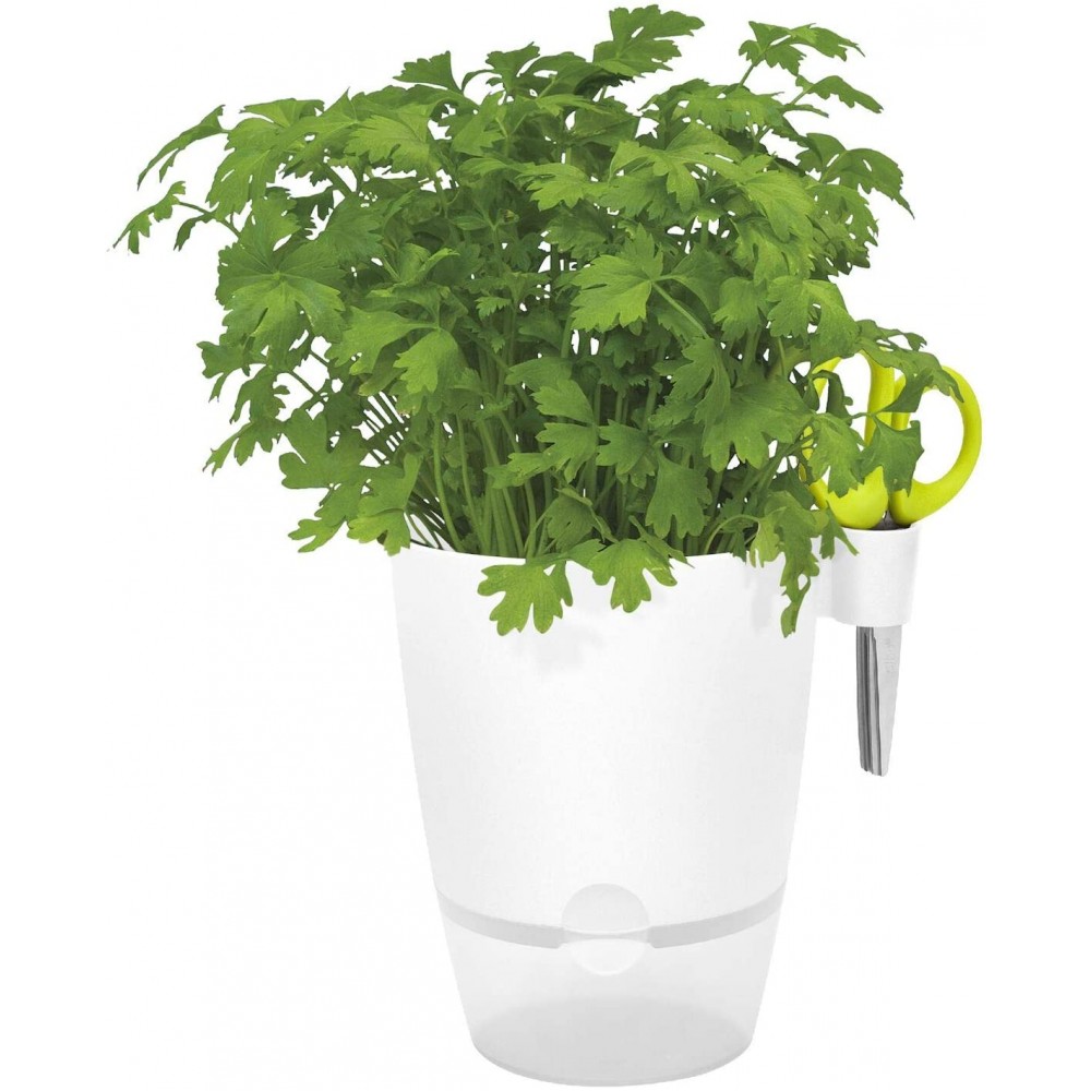 Vases, Pots & Planters : Elho Herbs All-in-1 Flowerpot ...