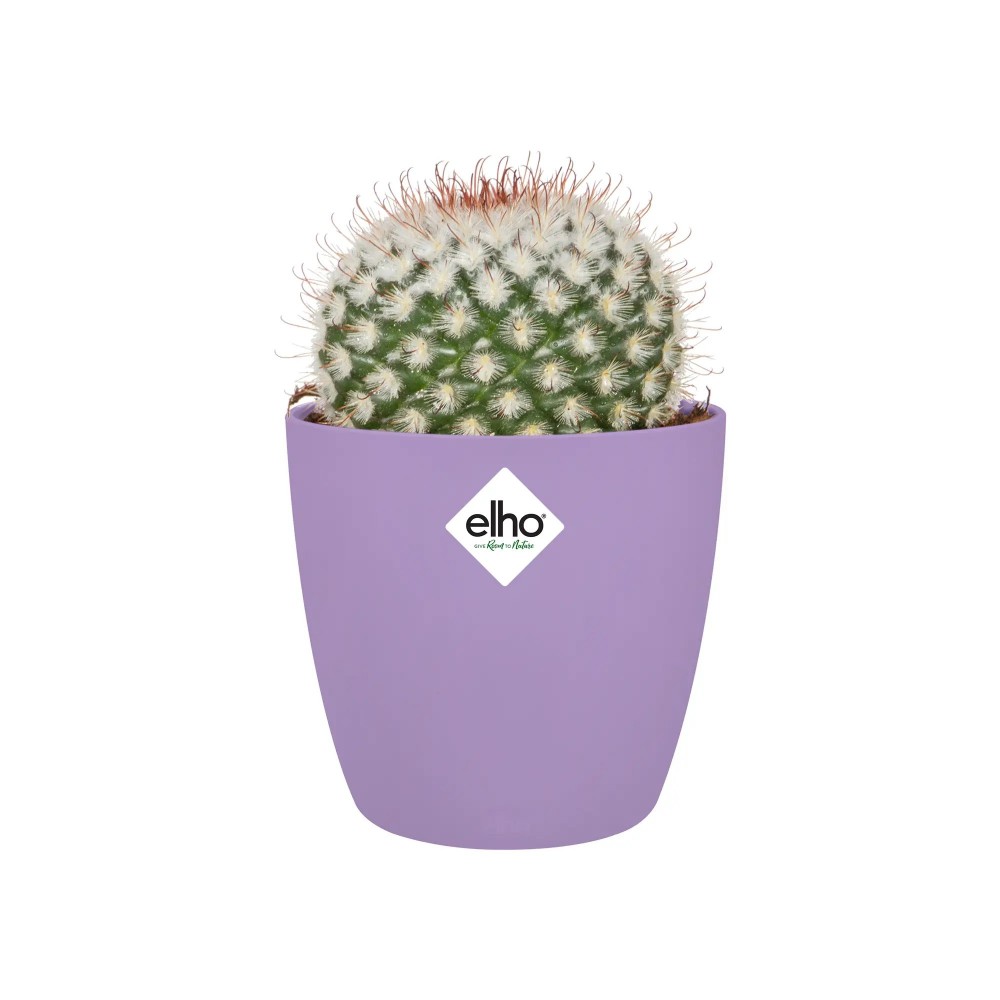 Vases, Pots & Planters : Elho Brussels Round Mini New ...